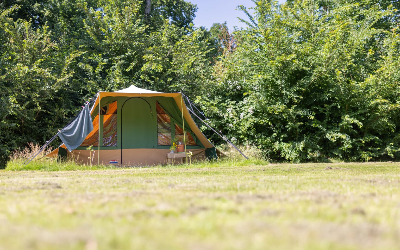 Home - Starnmeer - Zon en Leven
